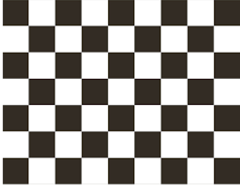 F1 Checkered Flag | PDF