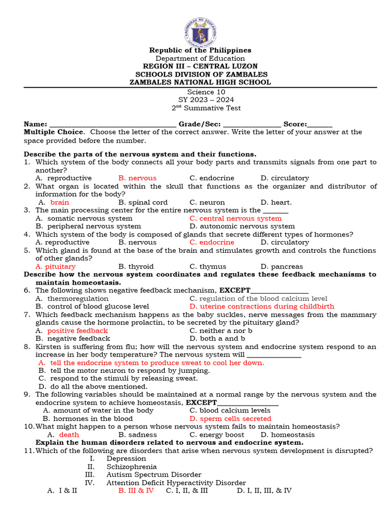 q3 2nd Summative Test Science FINAL | PDF | Nervous System | Human Body