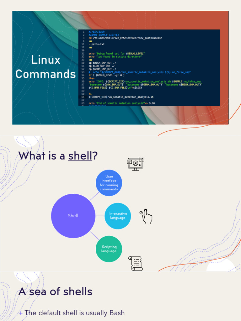 07 Linux Commands Pdf Zip File Format Computer File