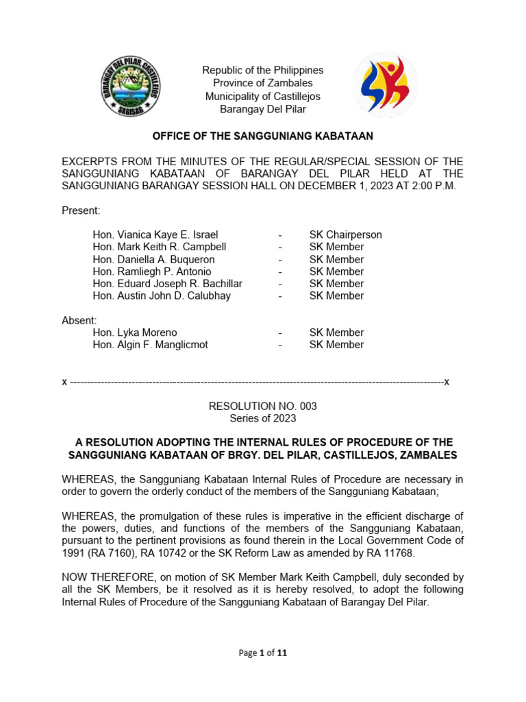 R003-2023 Sangguniang Kabataan IRP | PDF