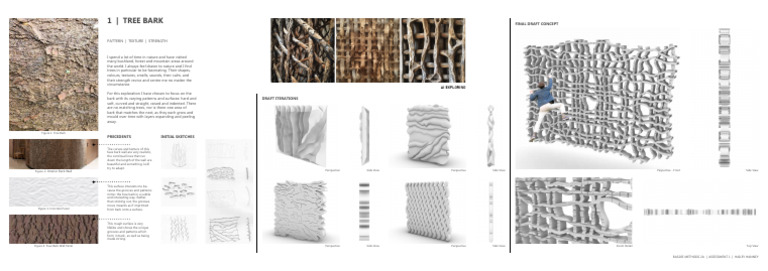 A01 Examples Combined - 2024 | PDF