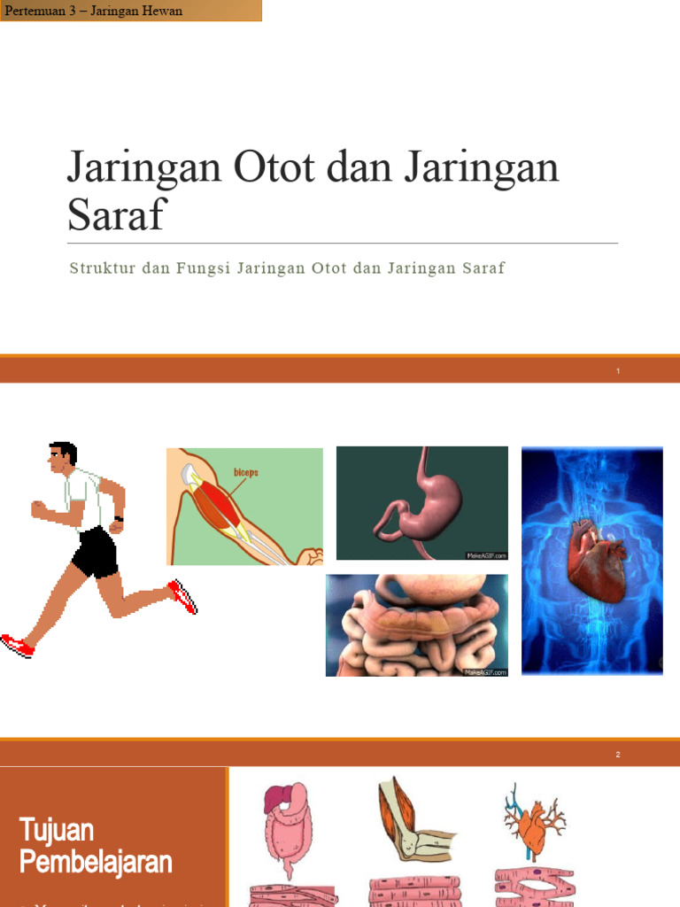 PPT 3_Jar Otot & Saraf (1) | PDF