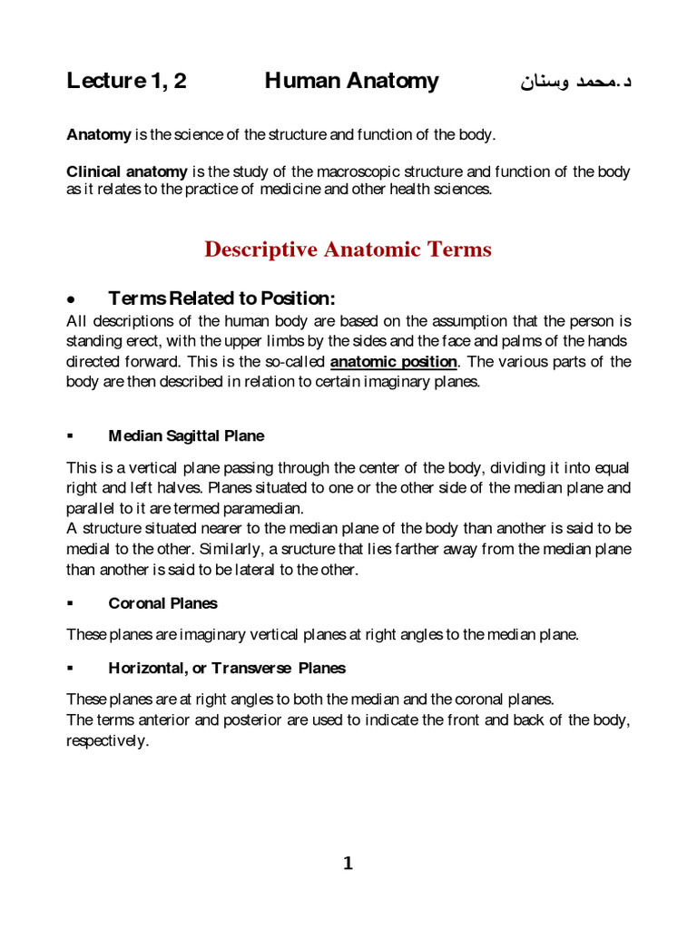 01terminology Human Anatomy 1 Year | PDF | Anatomical Terms Of Motion ...