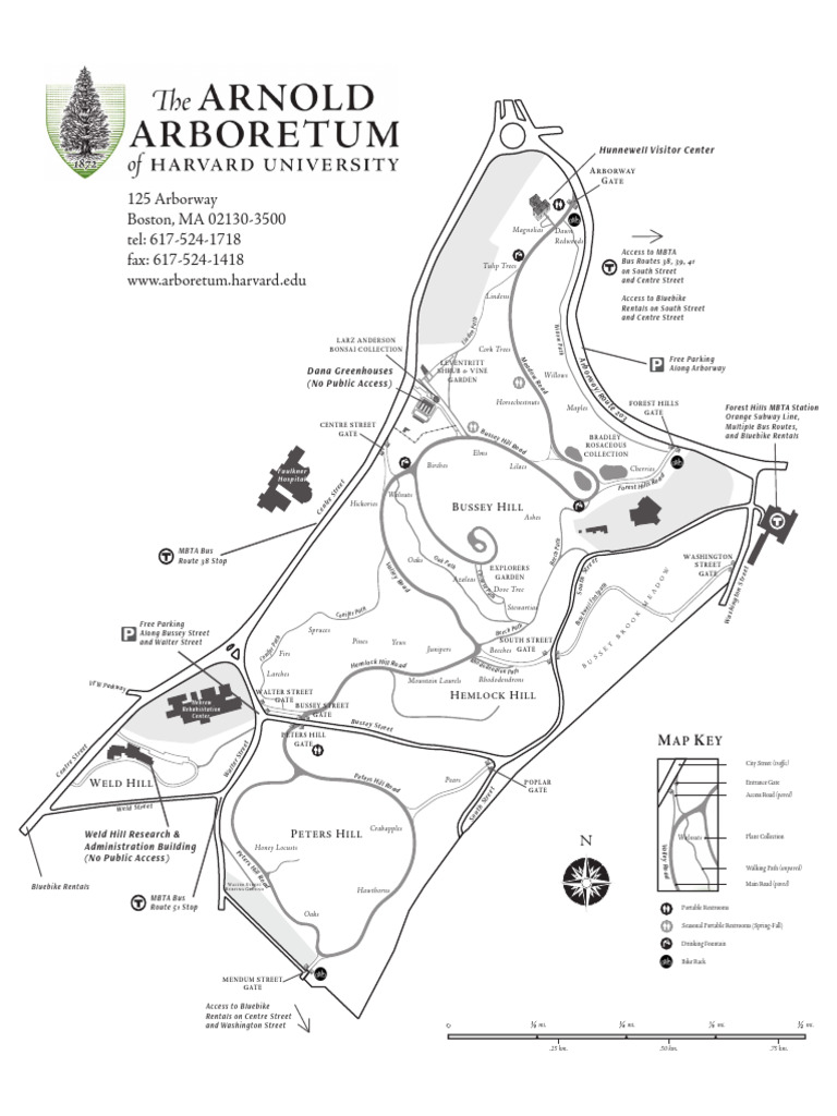Arnold Arboretum Map 8.2022 | PDF | Botany | Plants