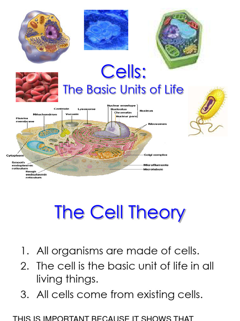 Cells:: The Basic Units of Life | PDF | Cell (Biology) | Endoplasmic ...