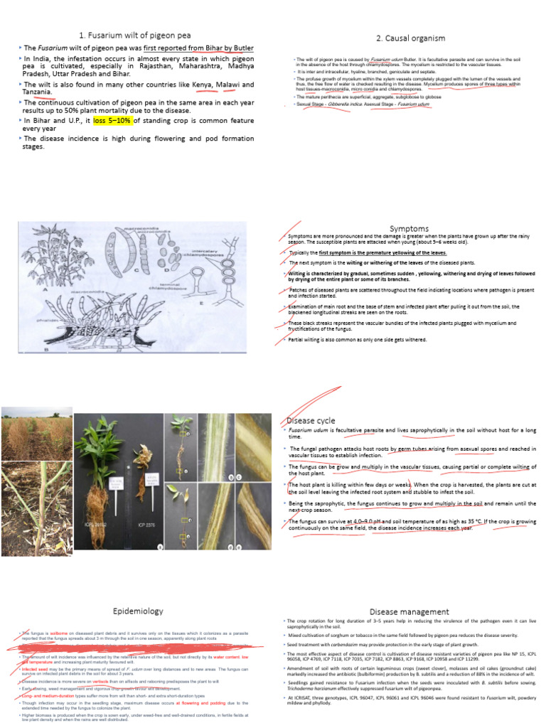 Fusarium Wilt and Sterility Mosaic in Pigeon Pea | PDF | Fungus | Pathogen