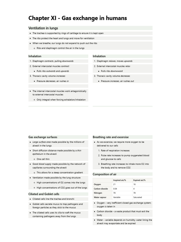 Chapter XI - Gas Exchange in Humans | PDF | Breathing | Lung
