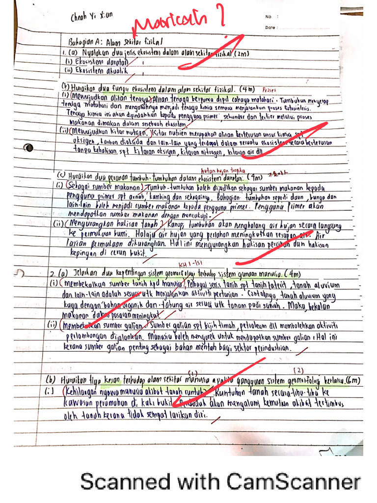 Cheah Yi Xian (Semakan 1) | PDF