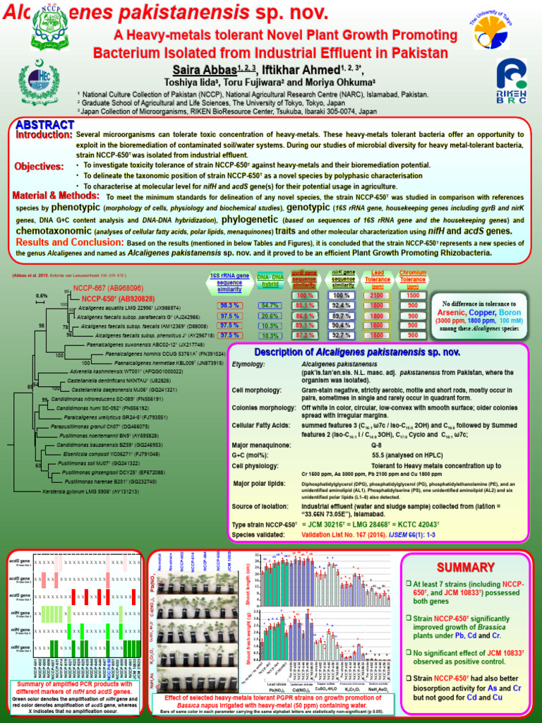 "Alcaligenes pakistanensis: Heavy Metal-Tolerant Bacterium" | PDF ...