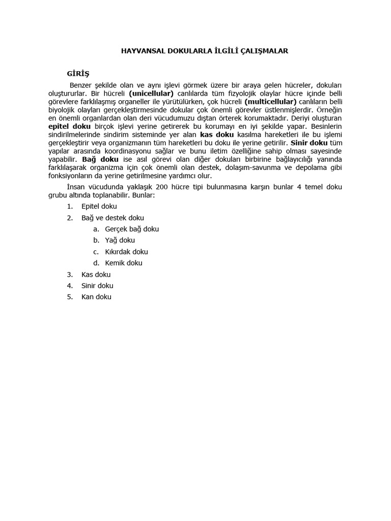 Hayvansal Dokular | PDF