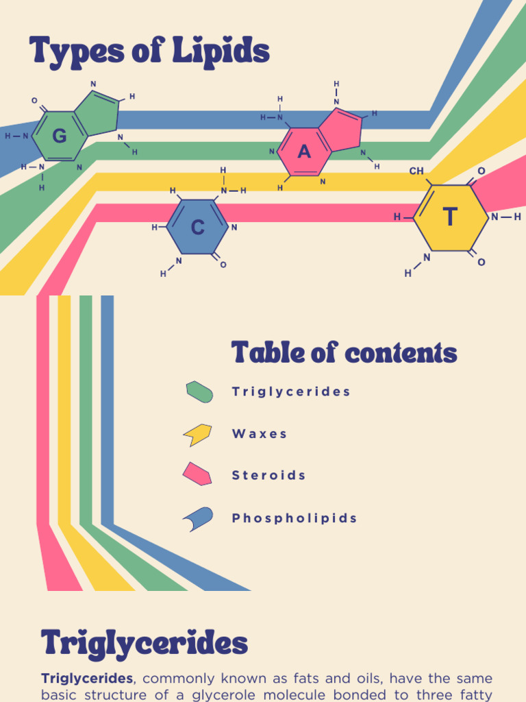 Types of Lipids | PDF | Triglyceride | Fat