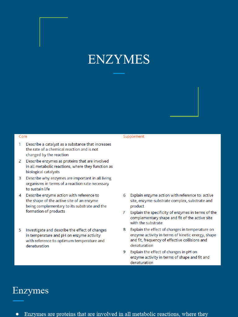 ENZYMES | PDF
