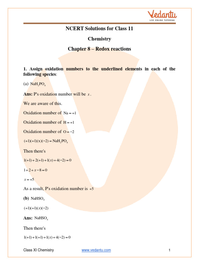 NCERT Solutions For Class 11 Chemistry Chapter 8 - Redox Reactions ...