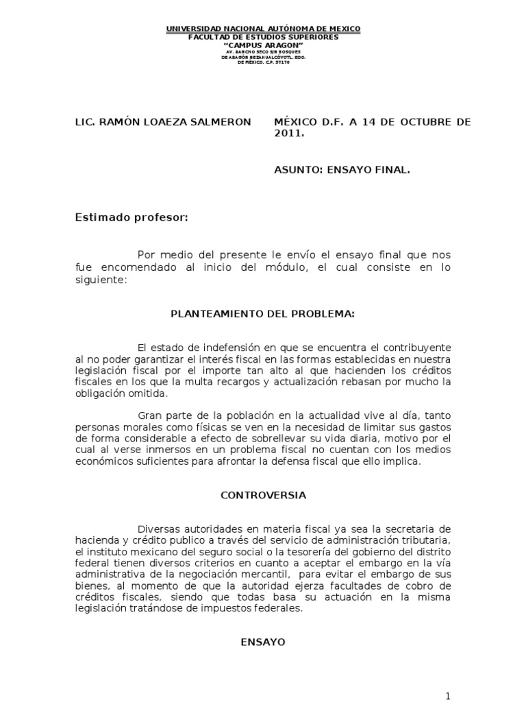 Embargo en La Via Administrativa de La Negociación Mercantil en Mexico ...