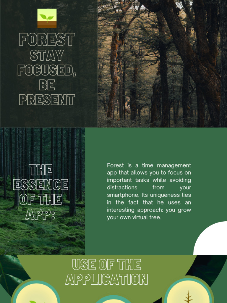 Forest | PDF