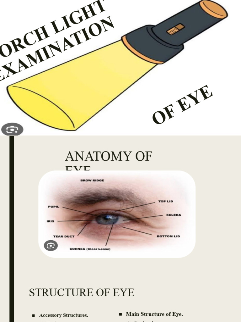 Torch Light Examination Full Complete | PDF