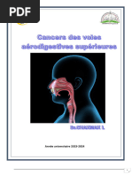 Cancer Du Cavum - DR Belhadj | PDF | Cancer | Métastase