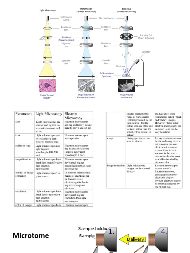 Electron Micros | PDF