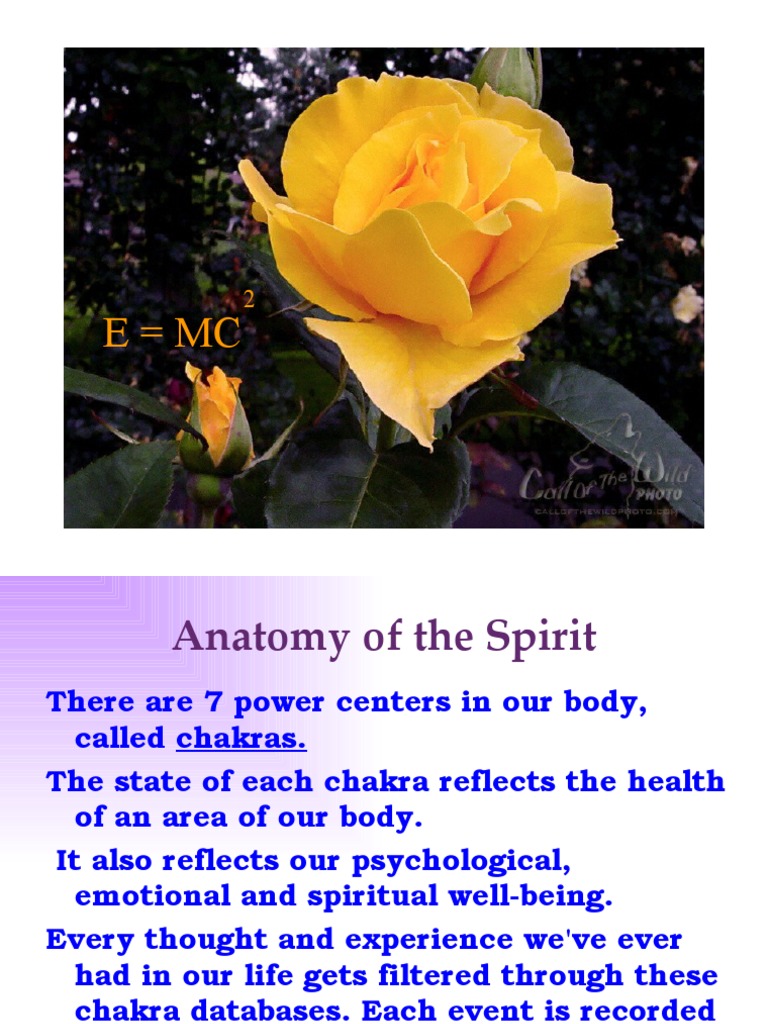 Anatomy of The Spirit | PDF | Chakra | Mind