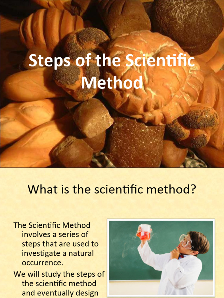 Steps of The Scientific Method | PDF