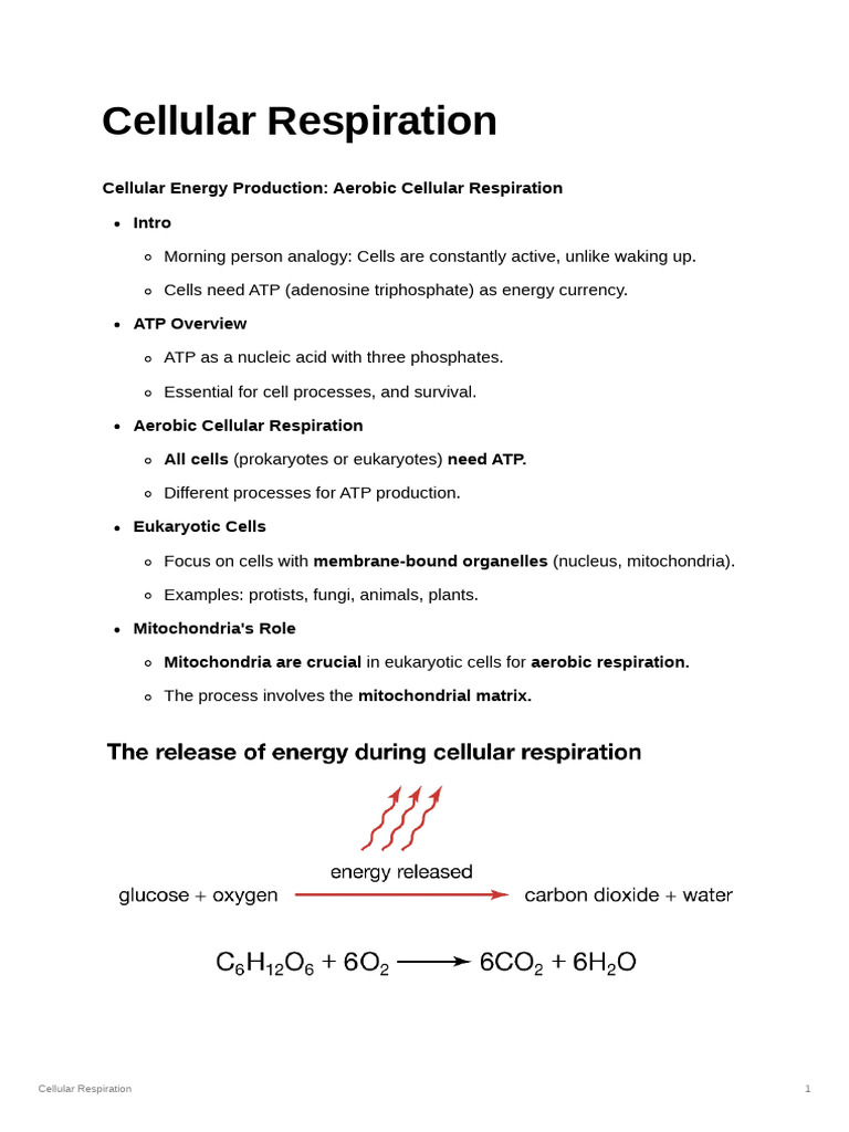 Cellular Respiration ba0596e40ef44db89f72a00357371d6c | PDF | Cellular ...