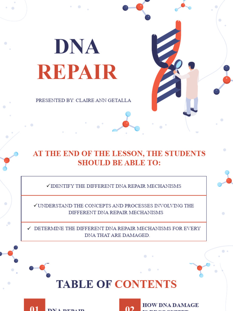 DNA Repair PPT Report - Getalla, Claire Ann | PDF | Science & Mathematics
