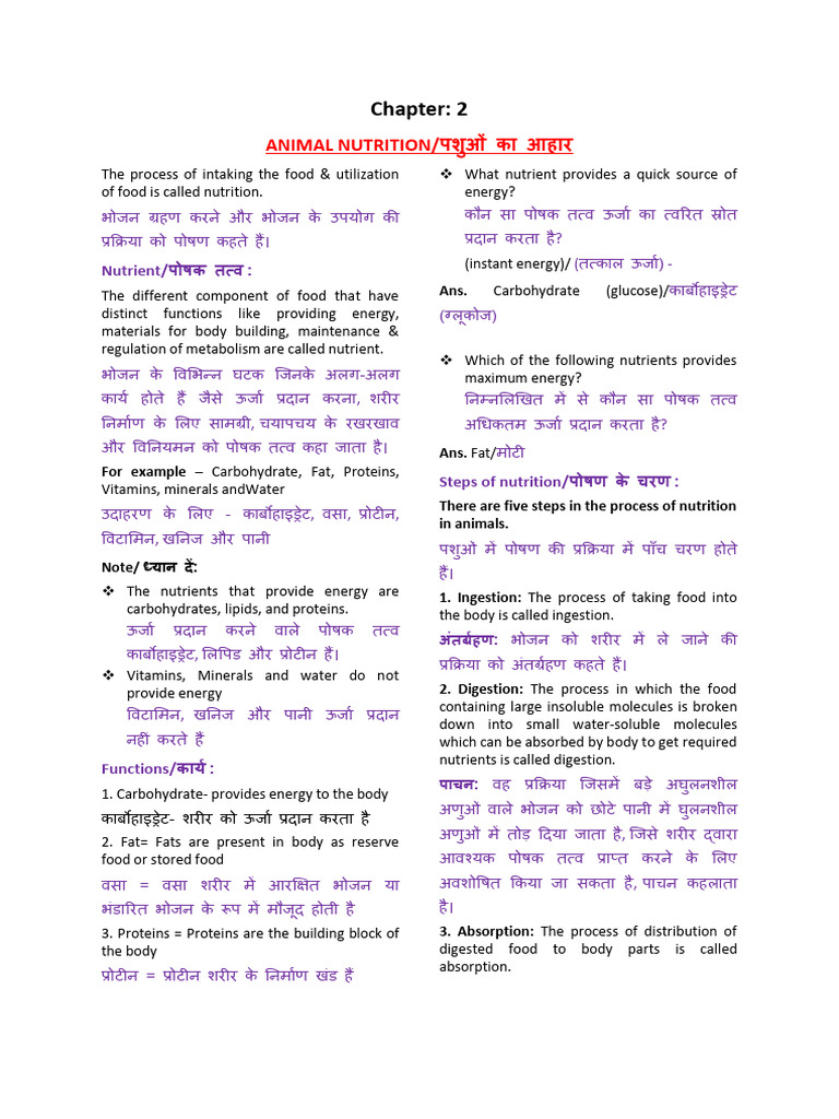 Animal Nutrition | PDF