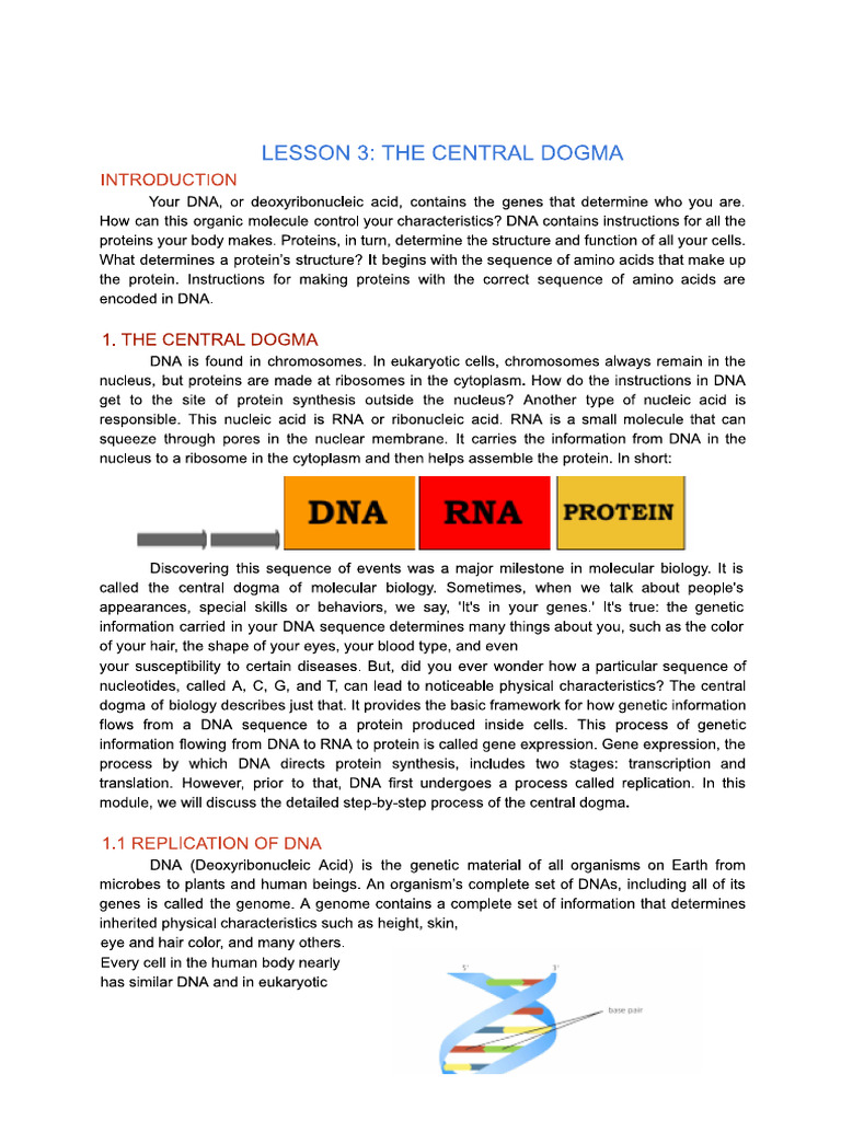 Central Dogma | PDF