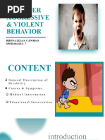 Risk - of - Violence - BVC English | PDF | Violence | Aggression