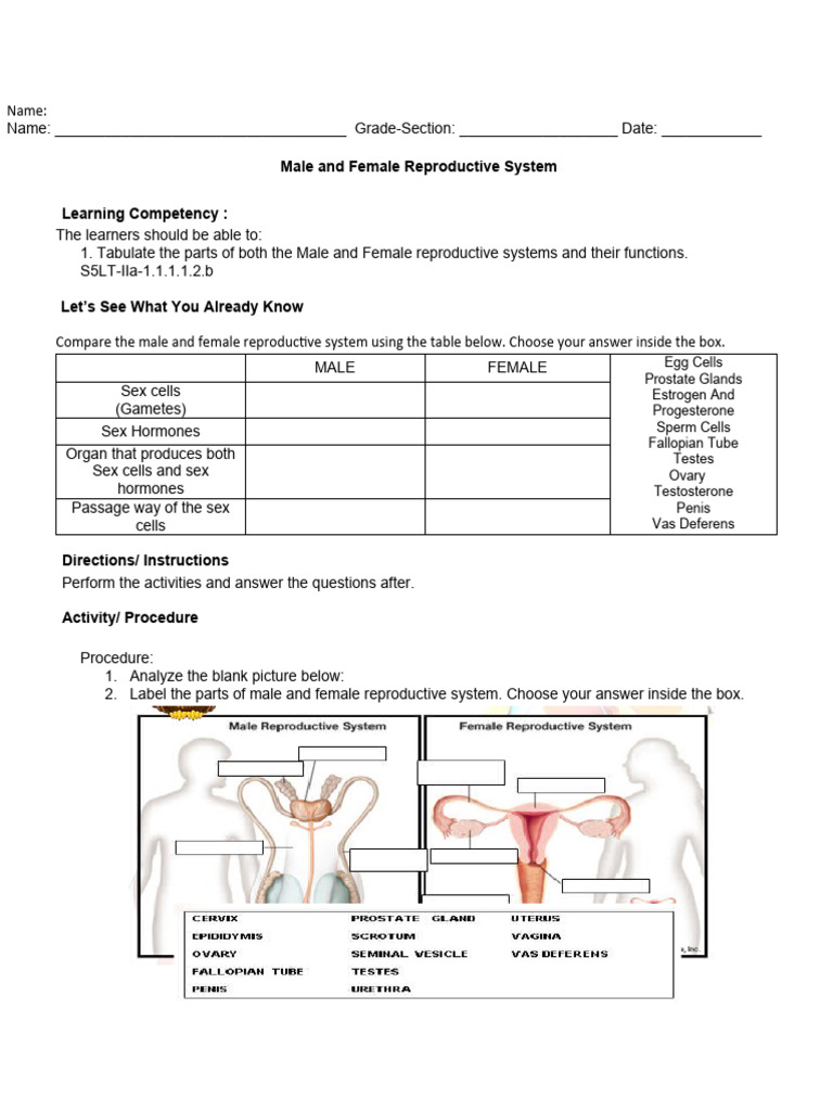 S5LT-IIa-1.1.1.2.b-Male and Female Reproductive System | PDF ...