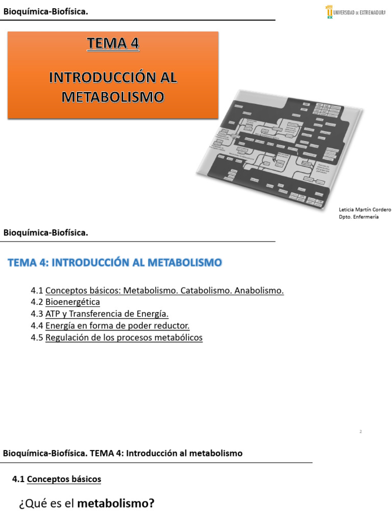 Tema 4. Introducción Al Metabolismo | PDF