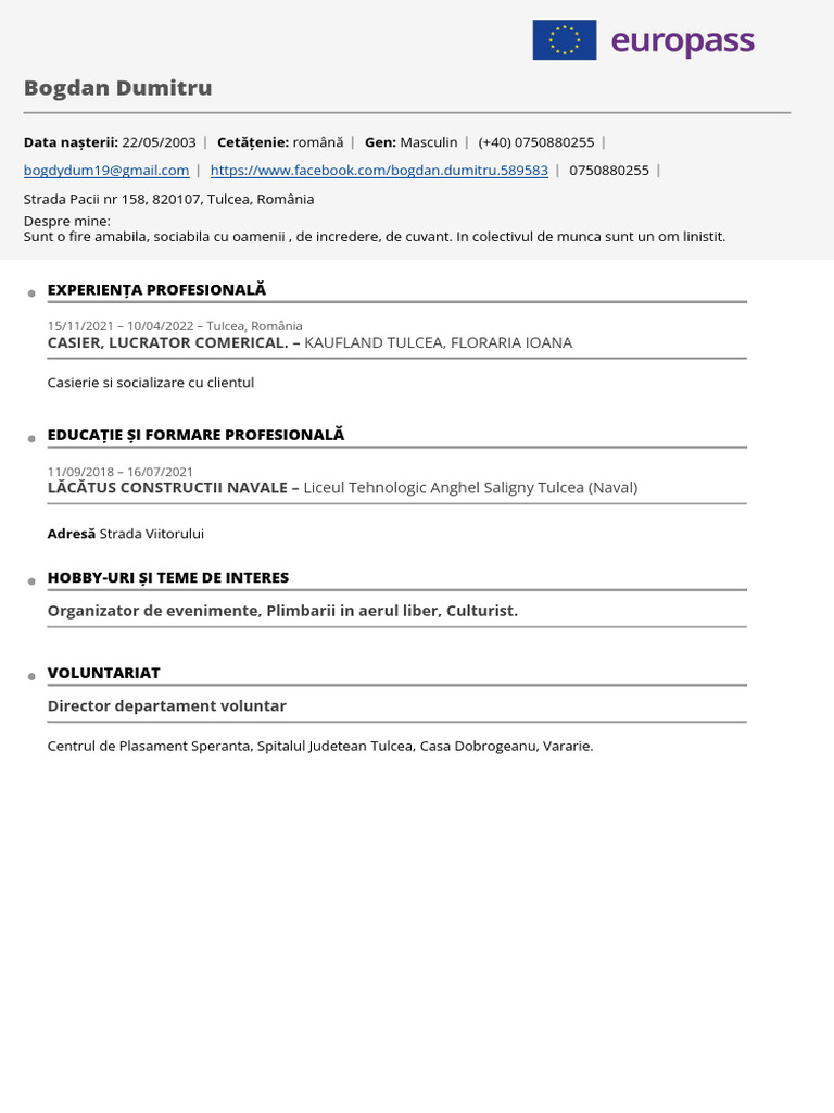 CV - Bogdan Dumitru | PDF