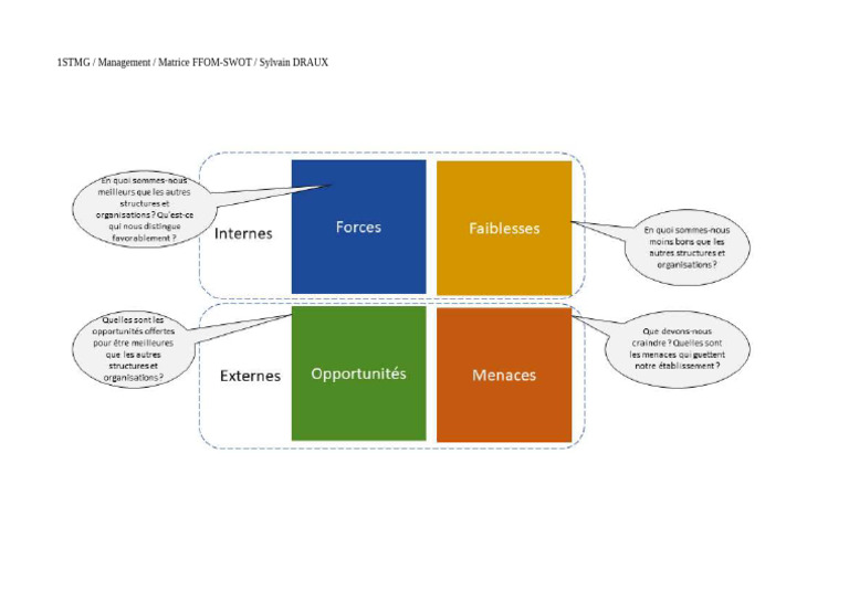 Matrice SWOT FFOM | PDF