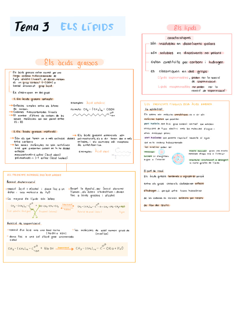 Els Lípids Tema 3 | PDF