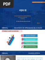 Capas de La Retina | PDF | Retina | Percepción visual