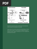 TIGAR-O Classification for Pancreatitis | PDF | Chronic Kidney Disease ...