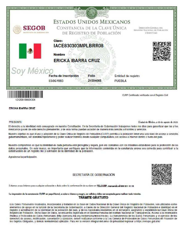 Curp Ericka Ibarra | PDF