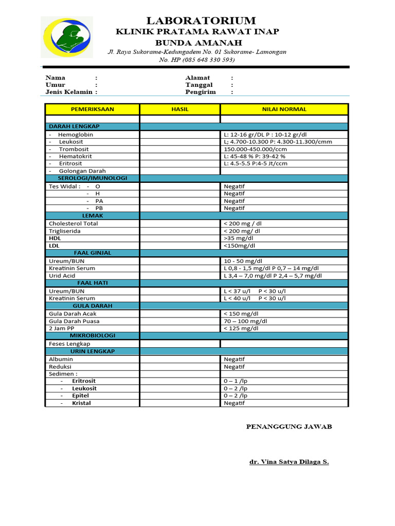 Lembar Lab Klinik Lengkap | PDF