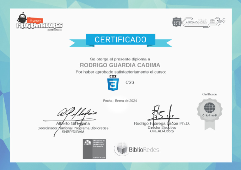 Certificado Rodrigo Guardia Cadima Css | PDF
