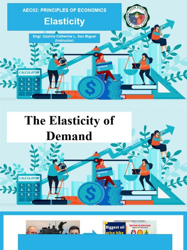 Lecture 3 - Elasticity | PDF