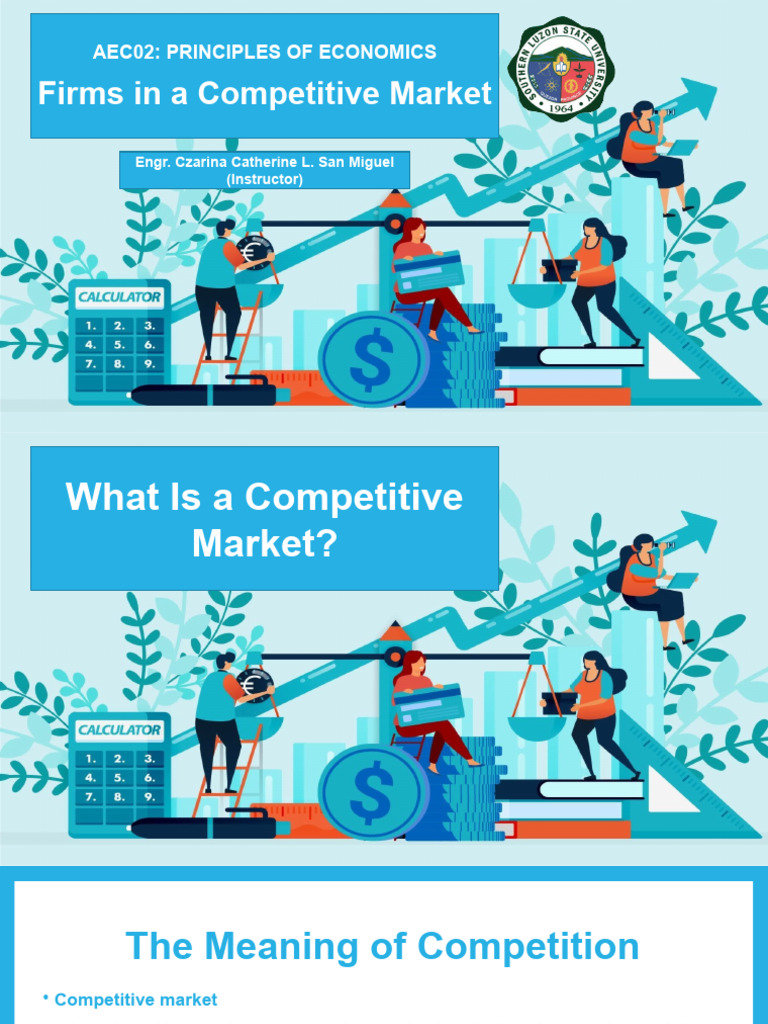 Lecture 8 - Firms in A Competitive Market | PDF