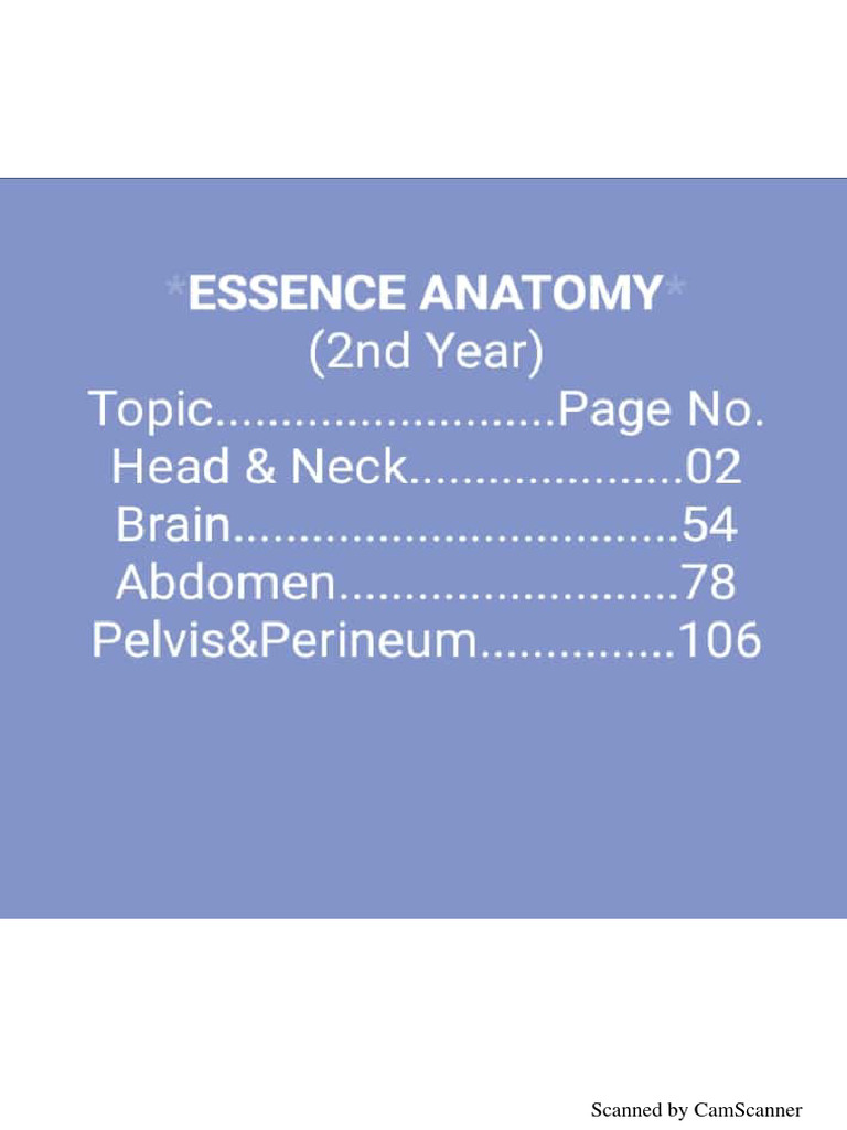 2nd Year Essence Anatomy | PDF