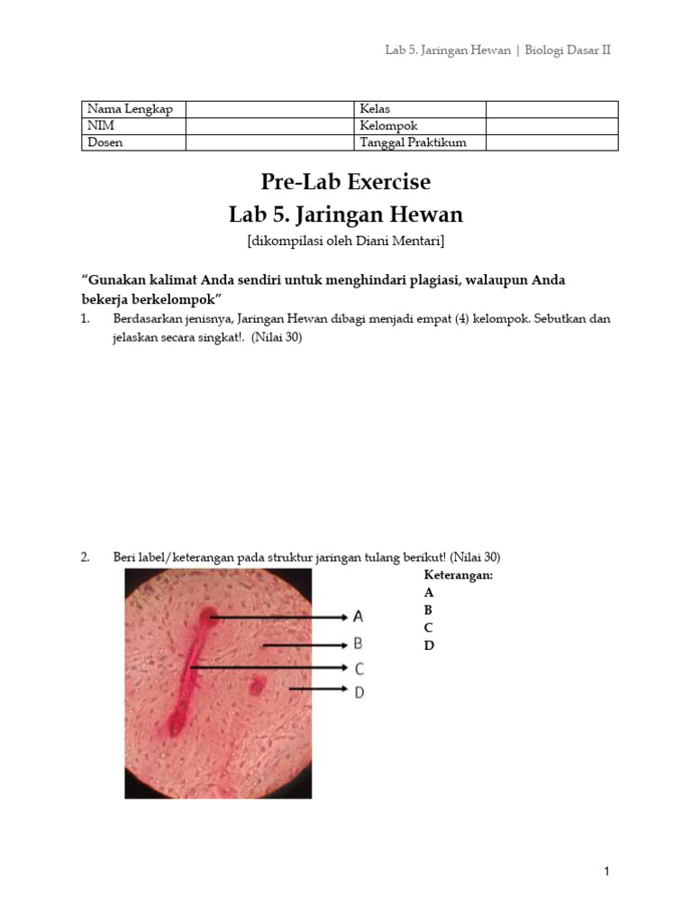 Lab5 - Jaringan Hewan - Prelab | PDF
