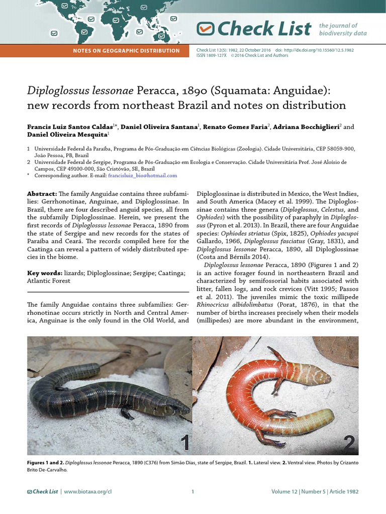 New Records of Diploglossus lessonae in NE Brazil | PDF | Wellness ...