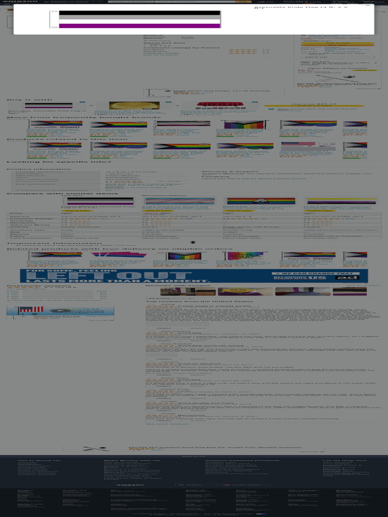 Asexuality Pride Flag (3 Ft. X 5 FT.) Outdoor Flags Patio, Lawn ...