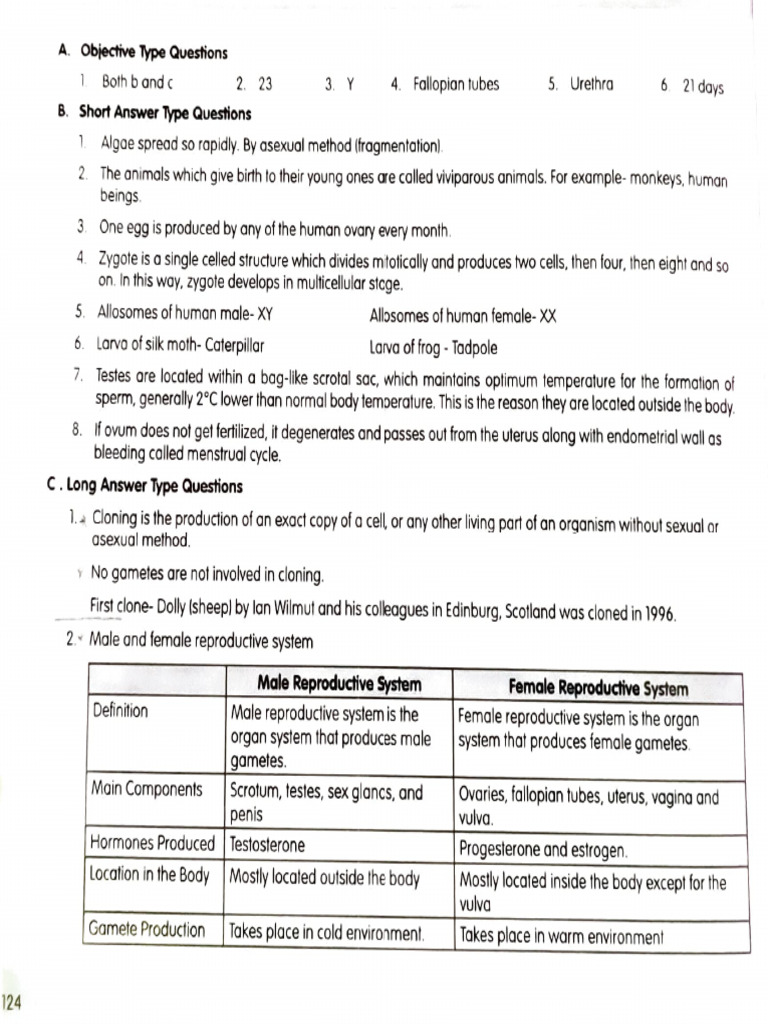 Reproductive Systems and Cloning Overview | PDF | Reproductive System ...