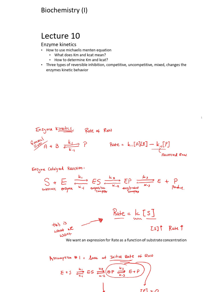 DPN-Biochem I - Lecture 10 - Enzyme Kinetics Inhibition | PDF