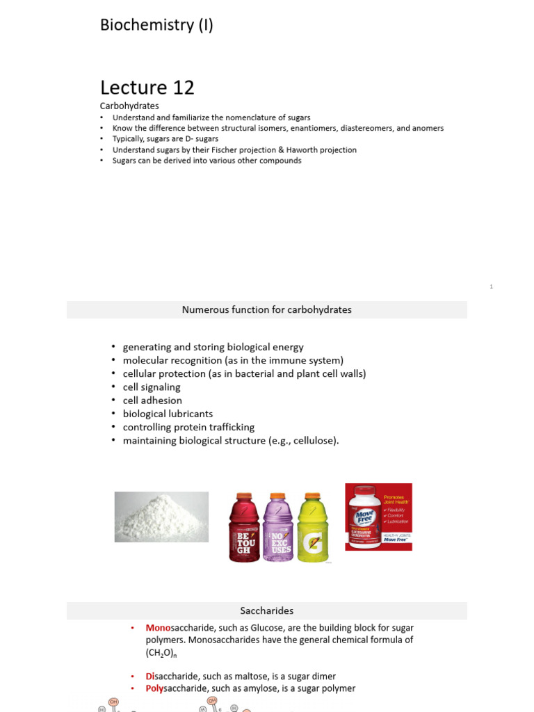 Biochemistry: Carbohydrates Basics | PDF | Carbohydrates | Chemical ...