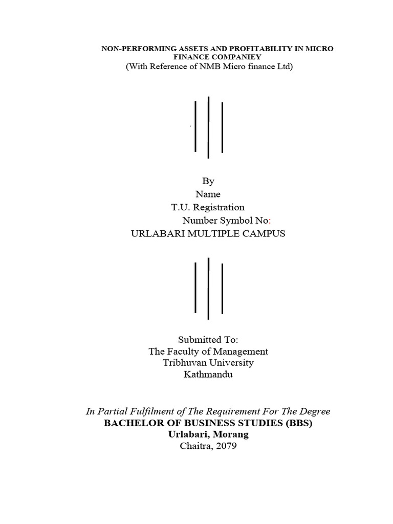 Sampal Proposal | PDF | Business