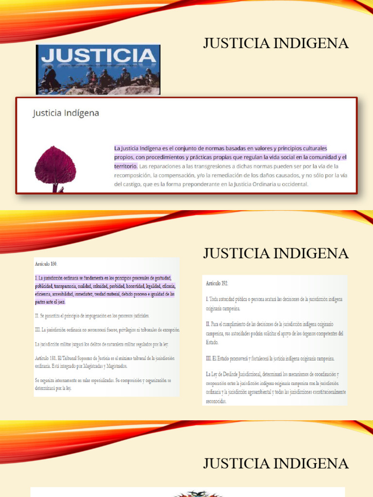 JUSTICIA INDIGENA (Autoguardado) | PDF | Justicia | Crimen y violencia